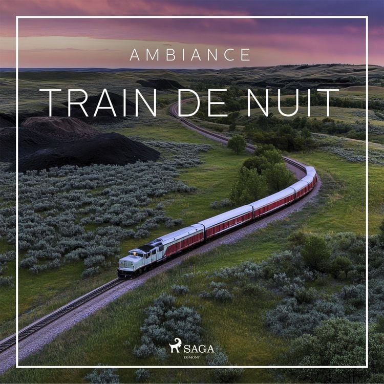 "Train de nuit – Bruits d'un wagon-couchette" als Hörbuch kaufen