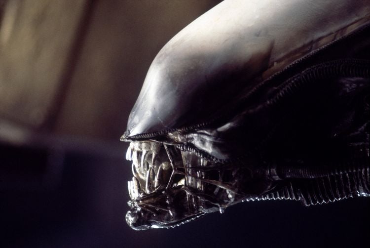 Alien 40th (4K Ultra HD) (+ Blu-ray 2D) als Blu-ray kaufen