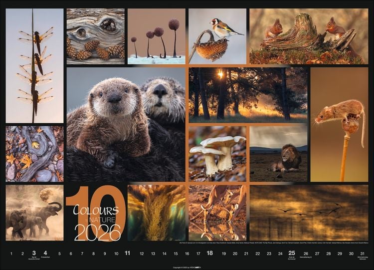 "Colours of Nature Kalender 2026" kaufen
