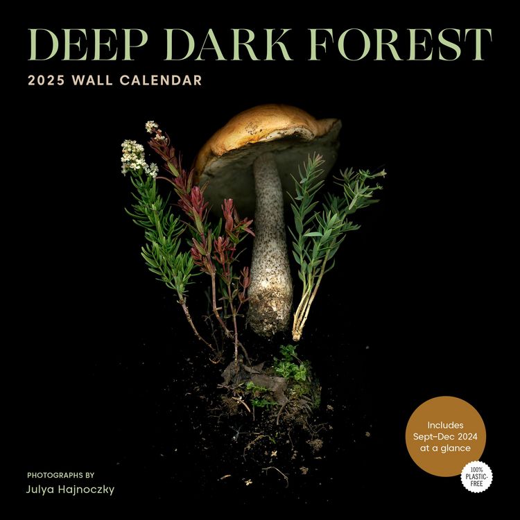 "Deep Dark Forest 2025 Wall Calendar" kaufen
