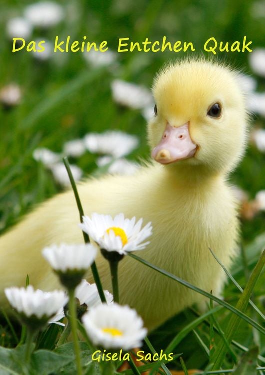 "Das kleine Entchen Quak" online kaufen