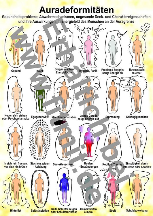 "Steuerzentren Wirbelsäule" online kaufen | Thalia