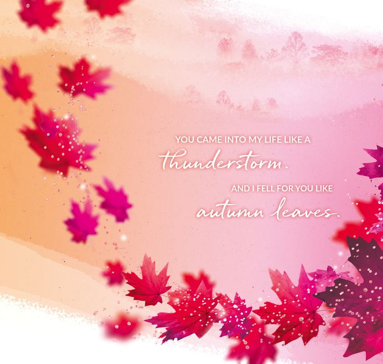 'Maple-Creek-Reihe, Band 1: Meet Me in Maple Creek (der SPIEGEL ...