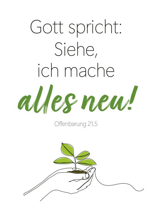 "Jahreslosung 2026 - Poster A3" online kaufen