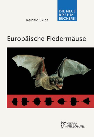 "Europäische Fledermäuse" von Reinald Skiba bei bücher.de bestellen