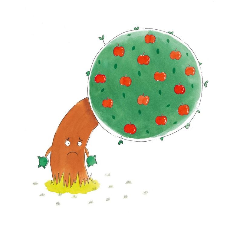 "Maxi Pixi 441: Schüttel den Apfelbaum" online kaufen