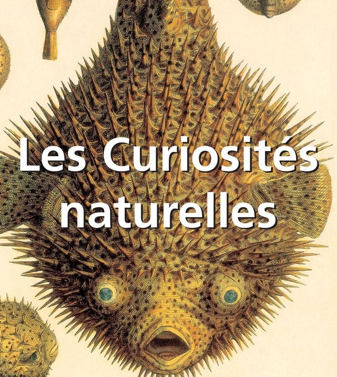 "Les Curiosités naturelles" als eBook kaufen