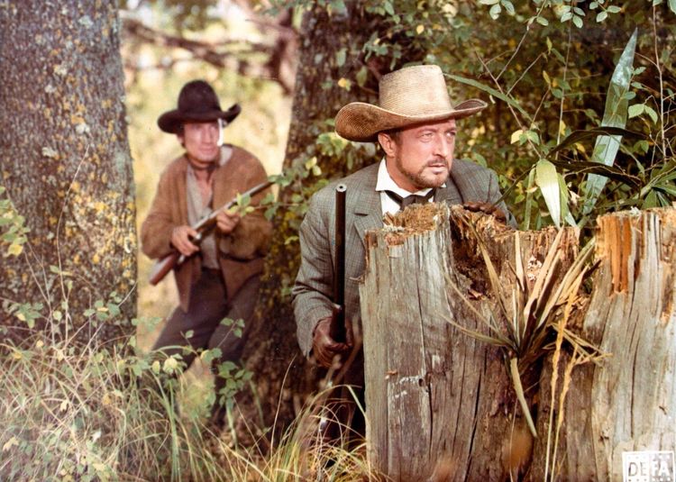 Die DEFA-Indianerfilme Gesamtedition: Alle 12 Gojko Mitic Filme ...