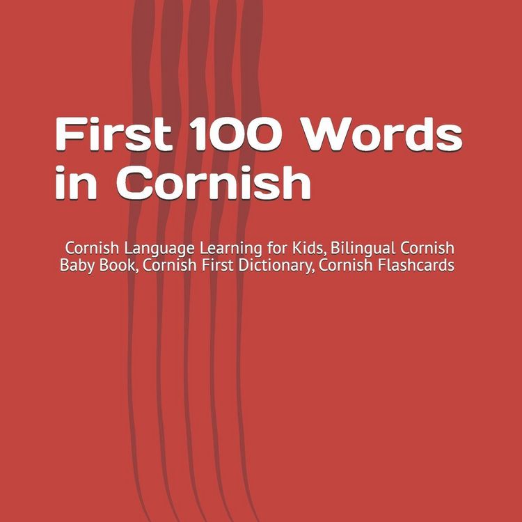 "First 100 Words in Cornish" auf Englisch kaufen