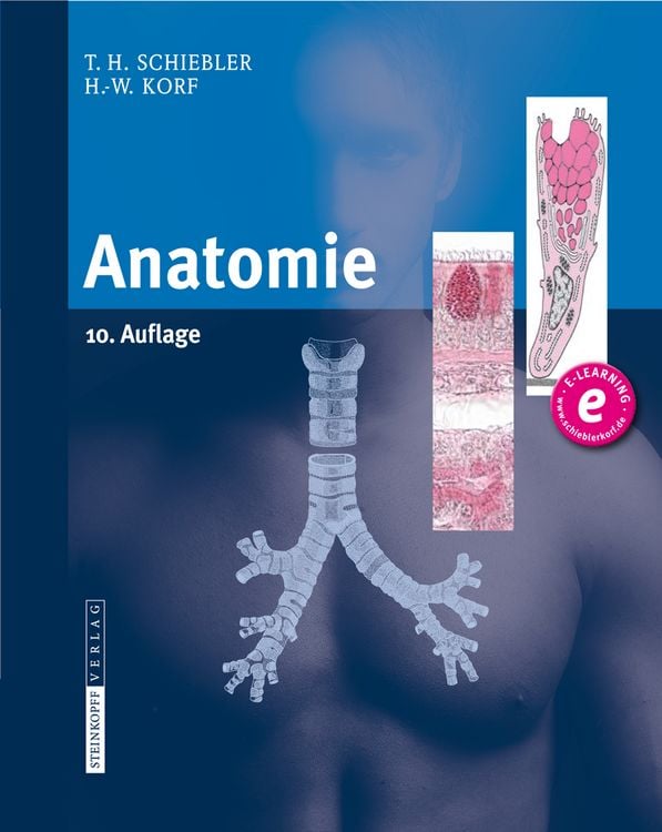 "Anatomie" online kaufen