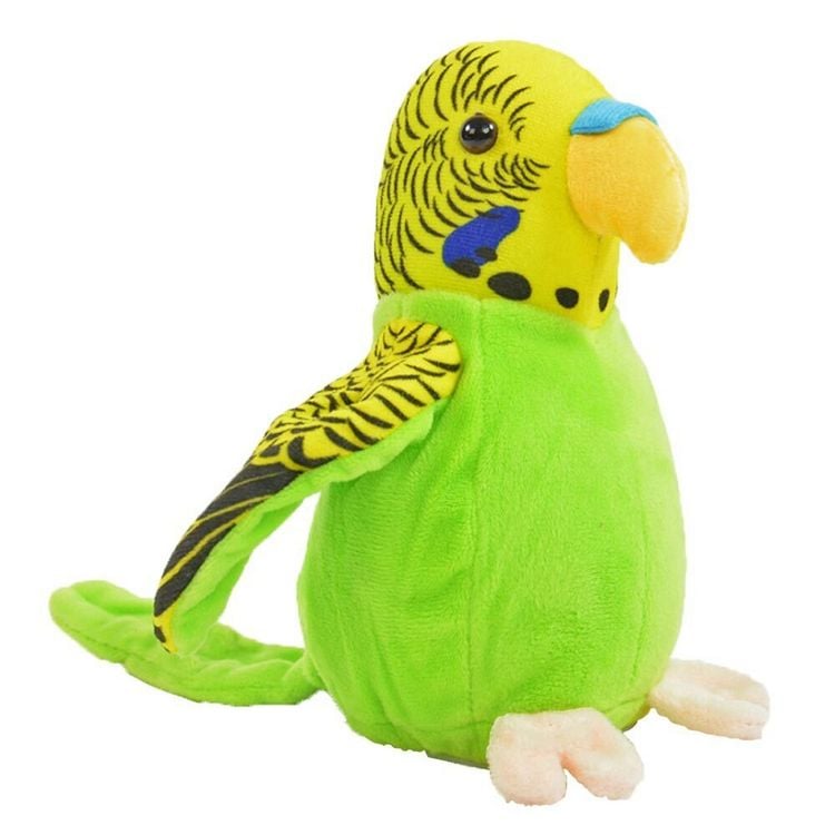 Laber Wellensittich, grün kaufen