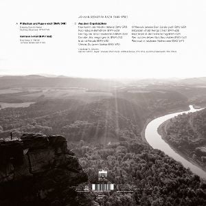 Organ Landscapes von Jörg Halubek (Vinyl) kaufen