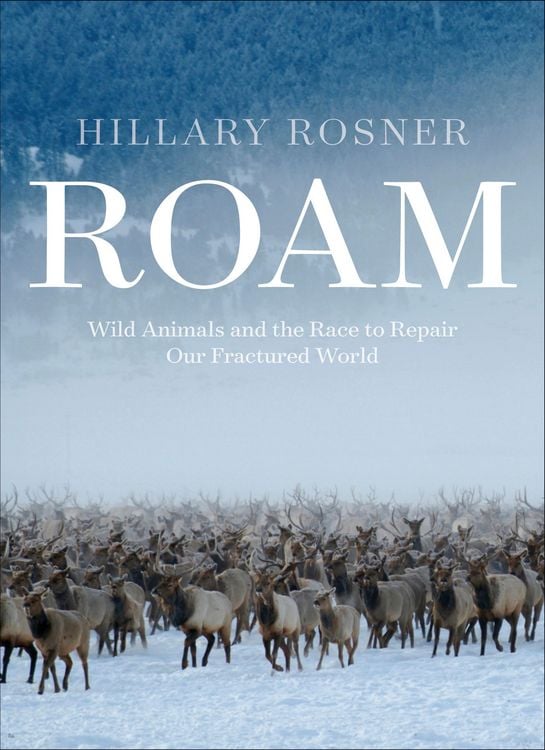 "Roam" als eBook kaufen