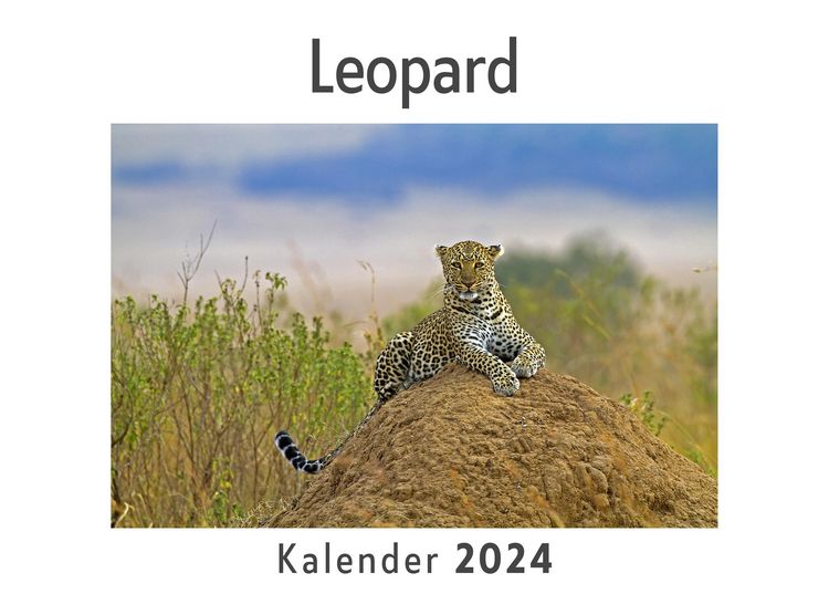 "Leopard (Wandkalender 2024, Kalender DIN A4 quer, Monatskalender im ...