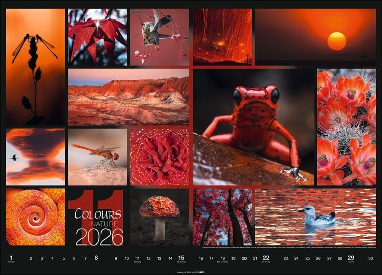 "Colours of Nature Kalender 2026" kaufen