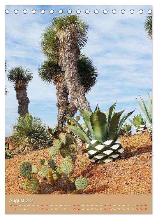 "Succulents and Cacti - Strong Thorns, Delicate Blooms (Desk Calendar ...