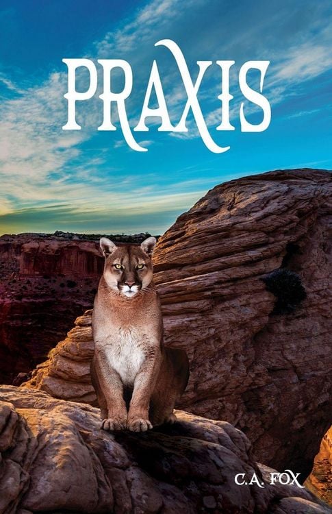 "Praxis" auf Englisch kaufen