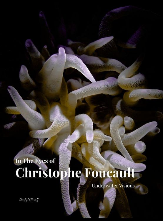"In The Eyes of Christophe Foucault Underwater Visions" auf Englisch kaufen