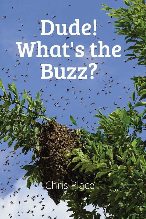 "Dude! Whats the Buzz?" auf Englisch kaufen