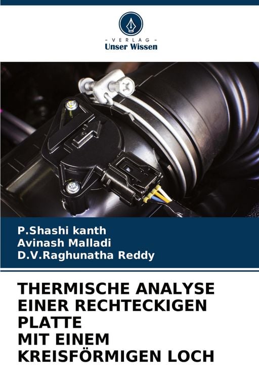 "Thermische Analyse einer Rechteckigen Platte mit Einem Kreisförmigen Loch" online kaufen