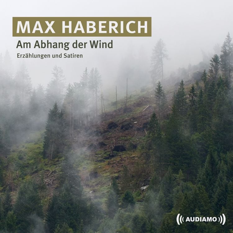 "Am Abhang der Wind" als Hörbuch kaufen