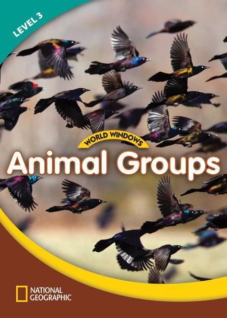 World Windows 3 (Science): Animal Groups: Content Literacy, Nonfiction ...