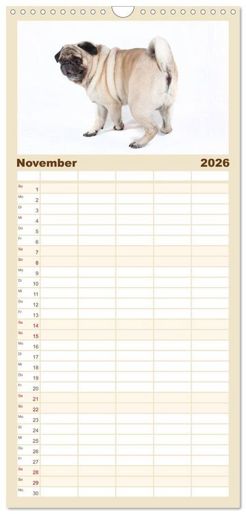 "Familienplaner 2026 - Mops - unwiderstehlich und charmant mit 5 ...