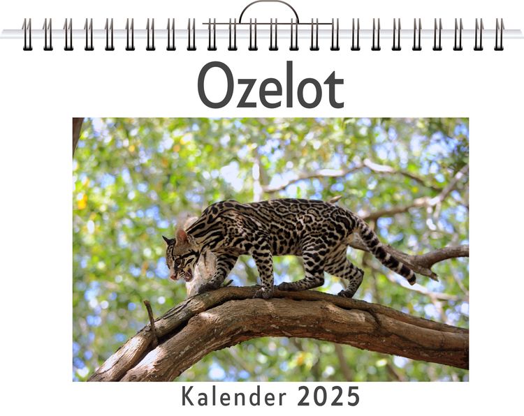"Ozelot" kaufen