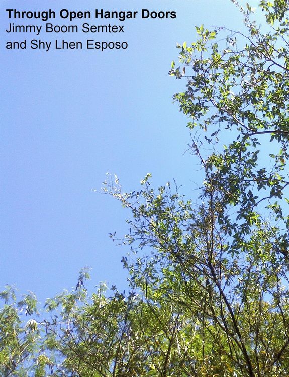 "Through Open Hangar Doors" als eBook kaufen