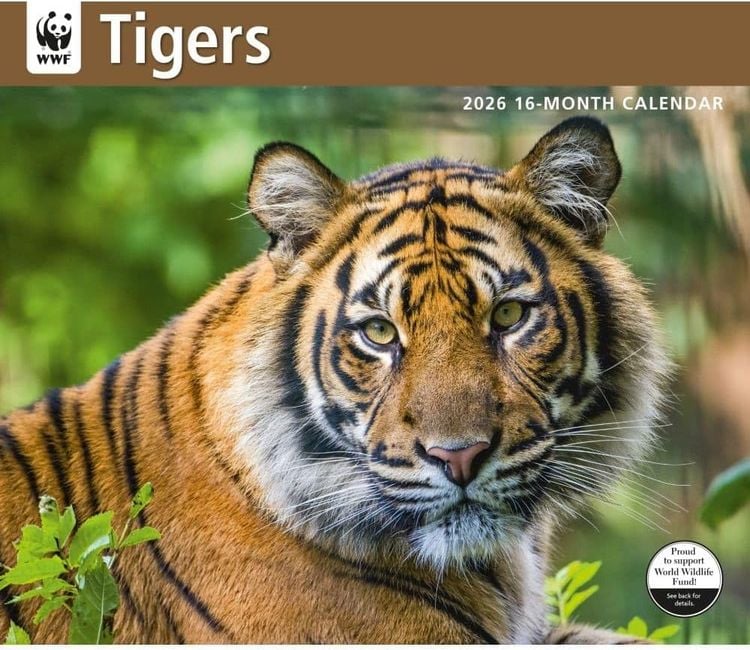 "WWF Tigers" kaufen