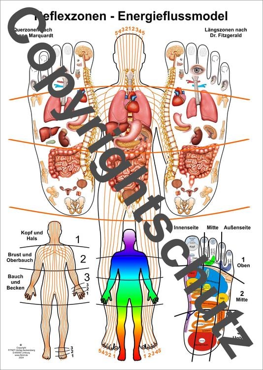 "Steuerzentren Wirbelsäule" online kaufen | Thalia