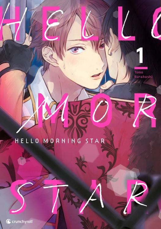 "Hello Morning Star – Band 2" online kaufen