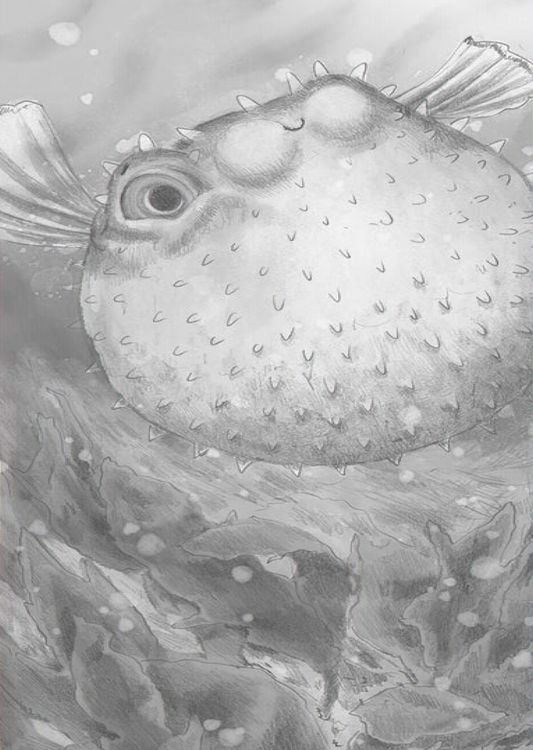 "Wunderwelt der Tiere im Meer" online kaufen