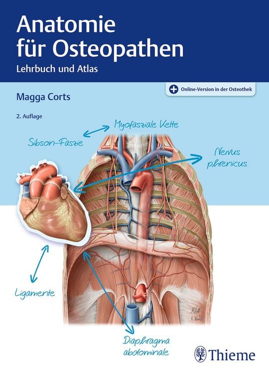 "Anatomie für Osteopathen" von Magga Corts bei bücher.de bestellen