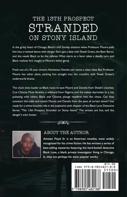 "The 13th Prospect Stranded on Stony Island" auf Englisch kaufen