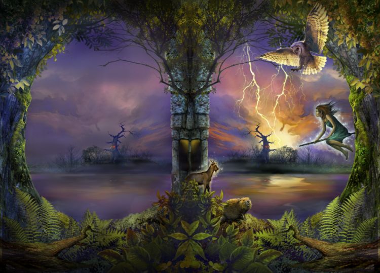 "Tom Tolliver und die Zauberkrautinsel" online kaufen