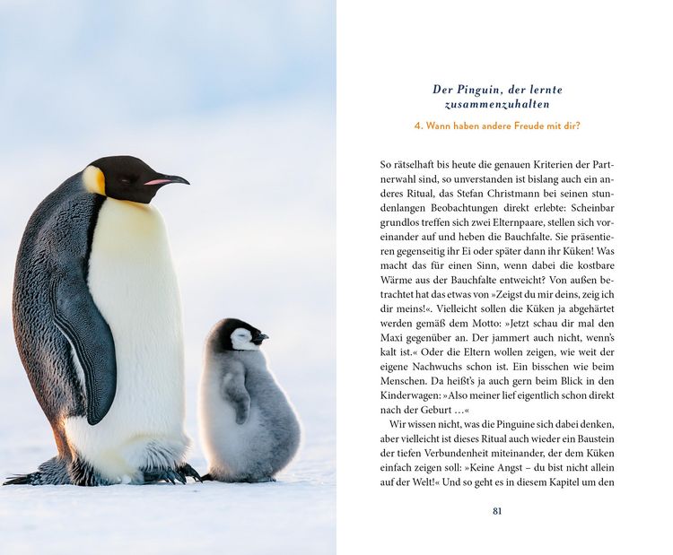 "Der Pinguin, der fliegen lernte" online kaufen