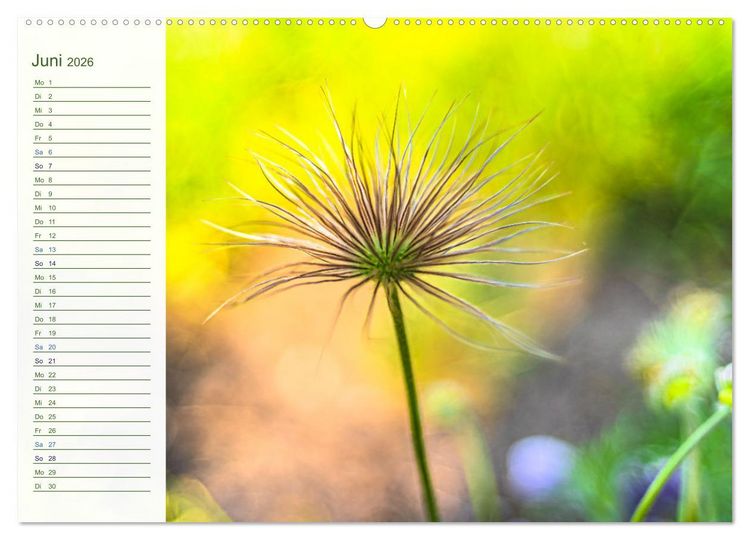 "Wenn im Frühling die Natur wieder erwacht (Wandkalender 2026 DIN A2 ...