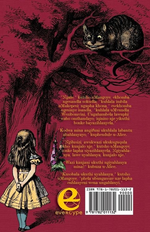 Insumansumane Zika-Alice - Schule & Lernen Schulbuch - 978-1-78201-113 ...