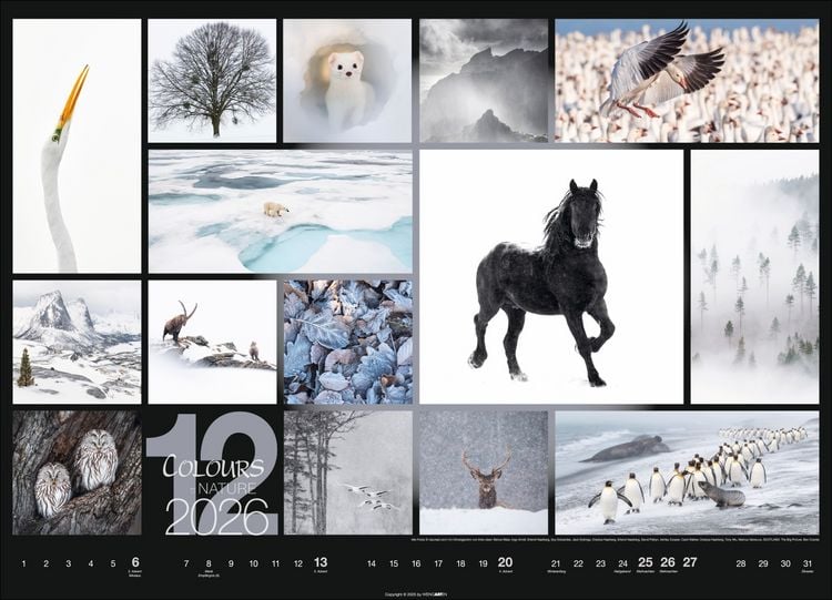 "Colours of Nature Kalender 2026" kaufen