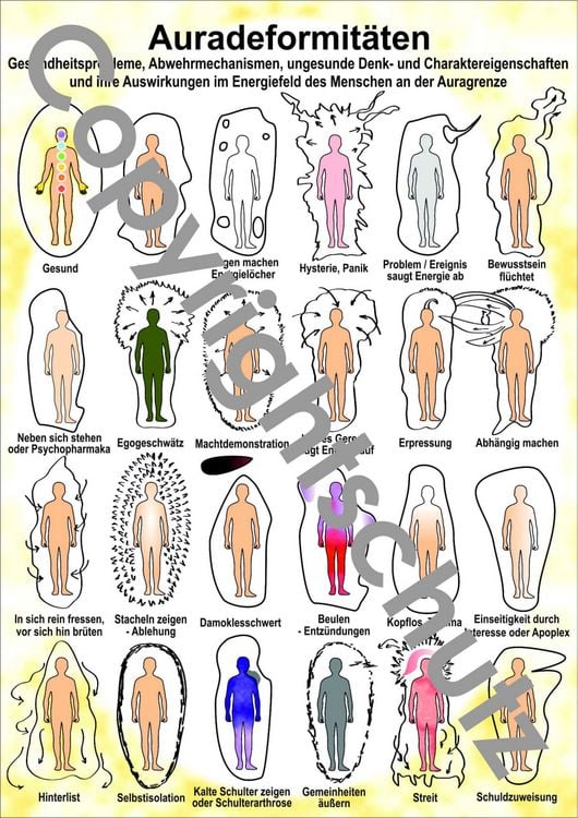 "Steuerzentren Wirbelsäule" online kaufen | Thalia