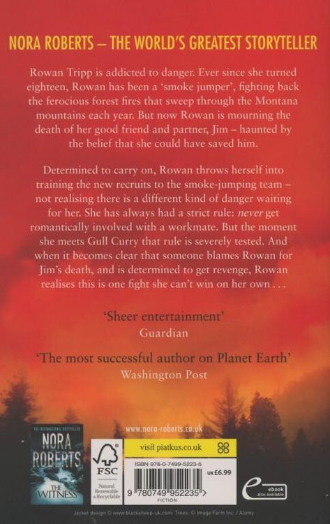 "Chasing Fire" auf Englisch kaufen