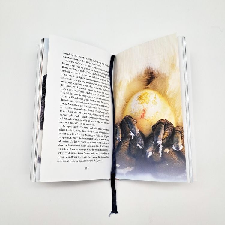 "Der Pinguin, der fliegen lernte" online kaufen