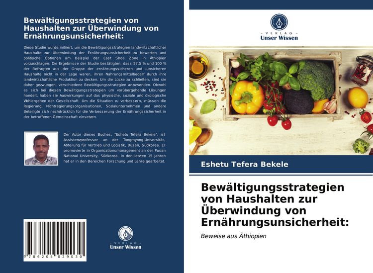 "Bewältigungsstrategien von Haushalten zur Überwindung von ...