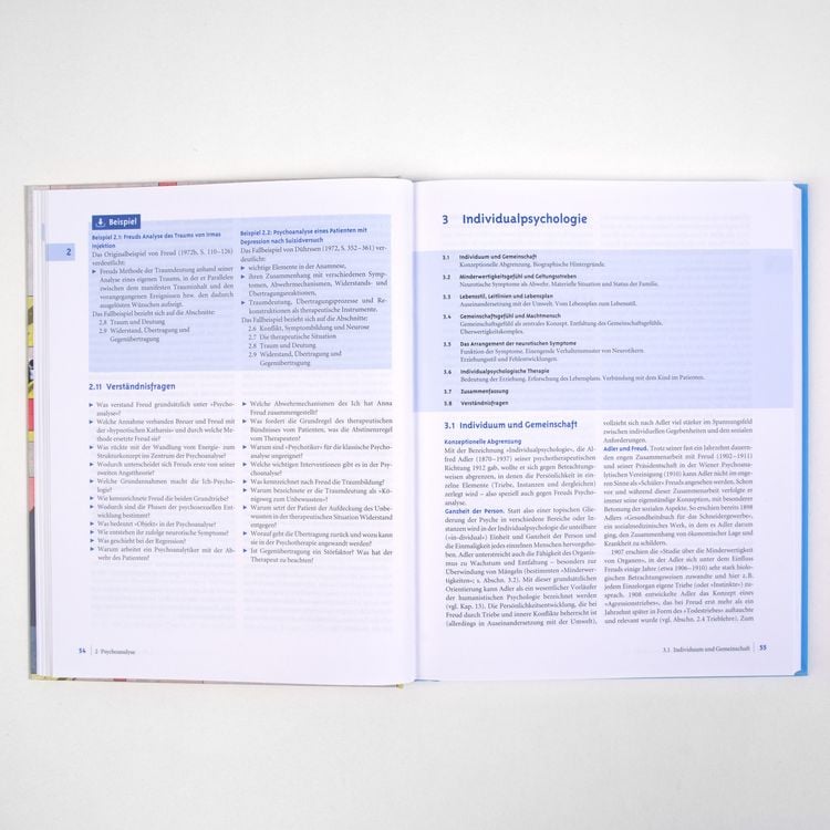 "Grundkonzepte der Psychotherapie" online kaufen