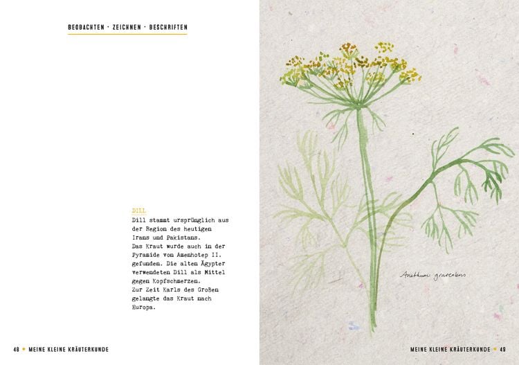 "Meine kleine Kräuterkunde" online kaufen