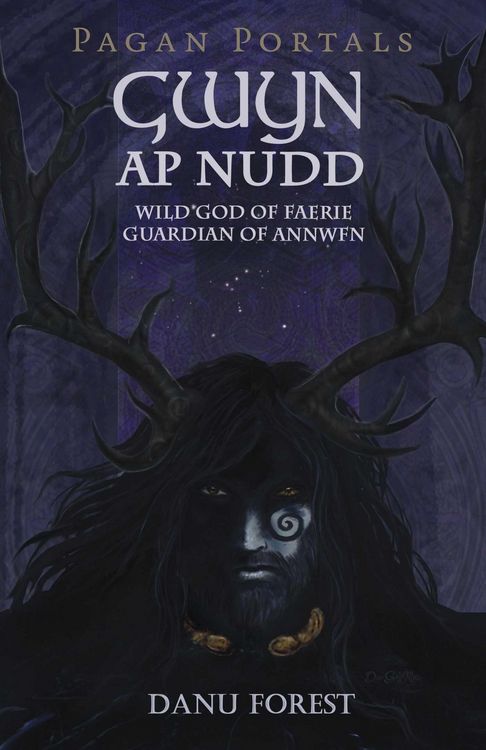 "Pagan Portals - Gwyn ap Nudd" von Danu Forest als eBook - bücher.de