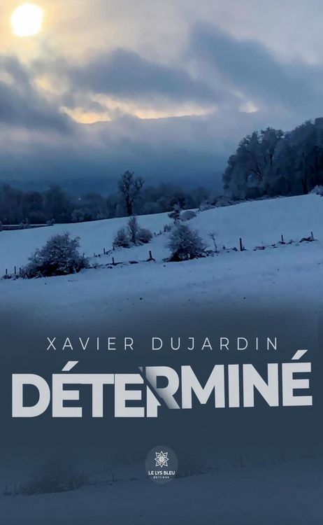 "Determine" auf Französisch kaufen