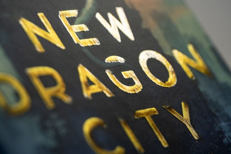 "New Dragon City – Ein Junge. Ein Drache. Eine verbotene Freundschaft ...