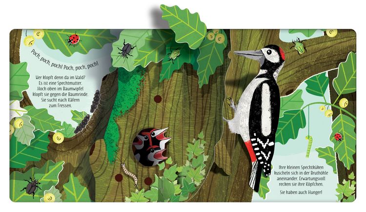 Mein erstes Pop-up-Buch: Natur von Anna Milbourne - Gebundene Ausgabe ...
